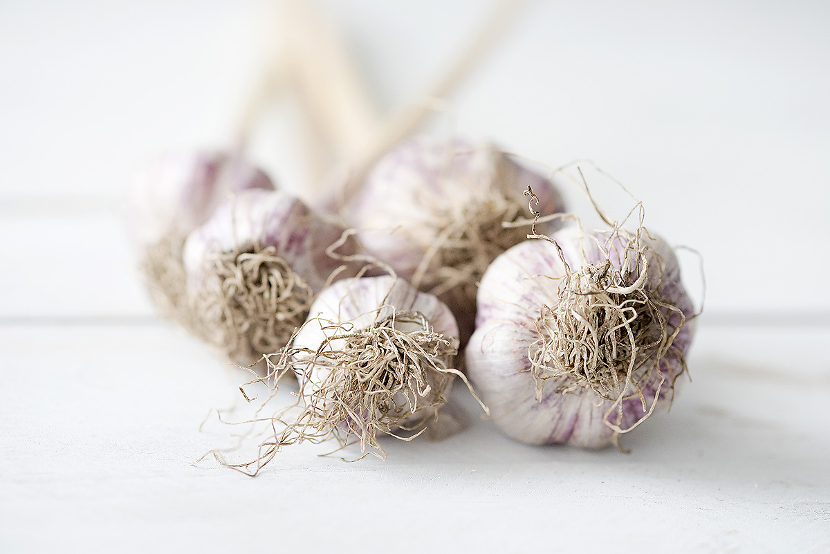 Basic Skills Cooking Classes — Chef Heidi Fink